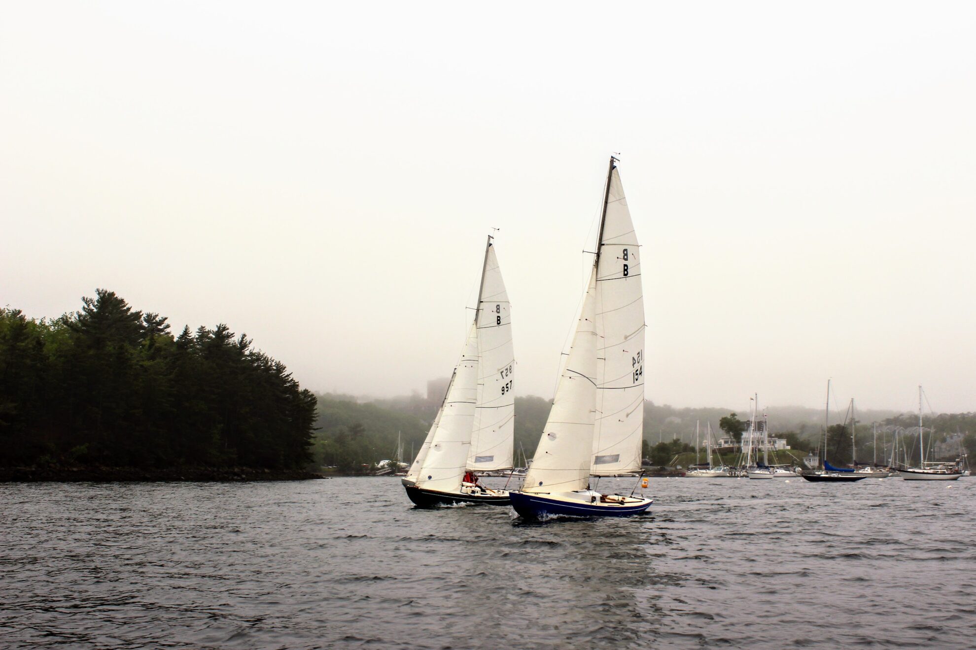 Halifax Northwest Arm Bluenose Fleet - Sail and race with us!